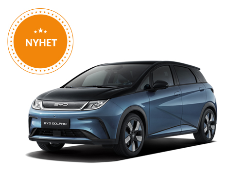 BYD modeller - Oddvar Bjelde